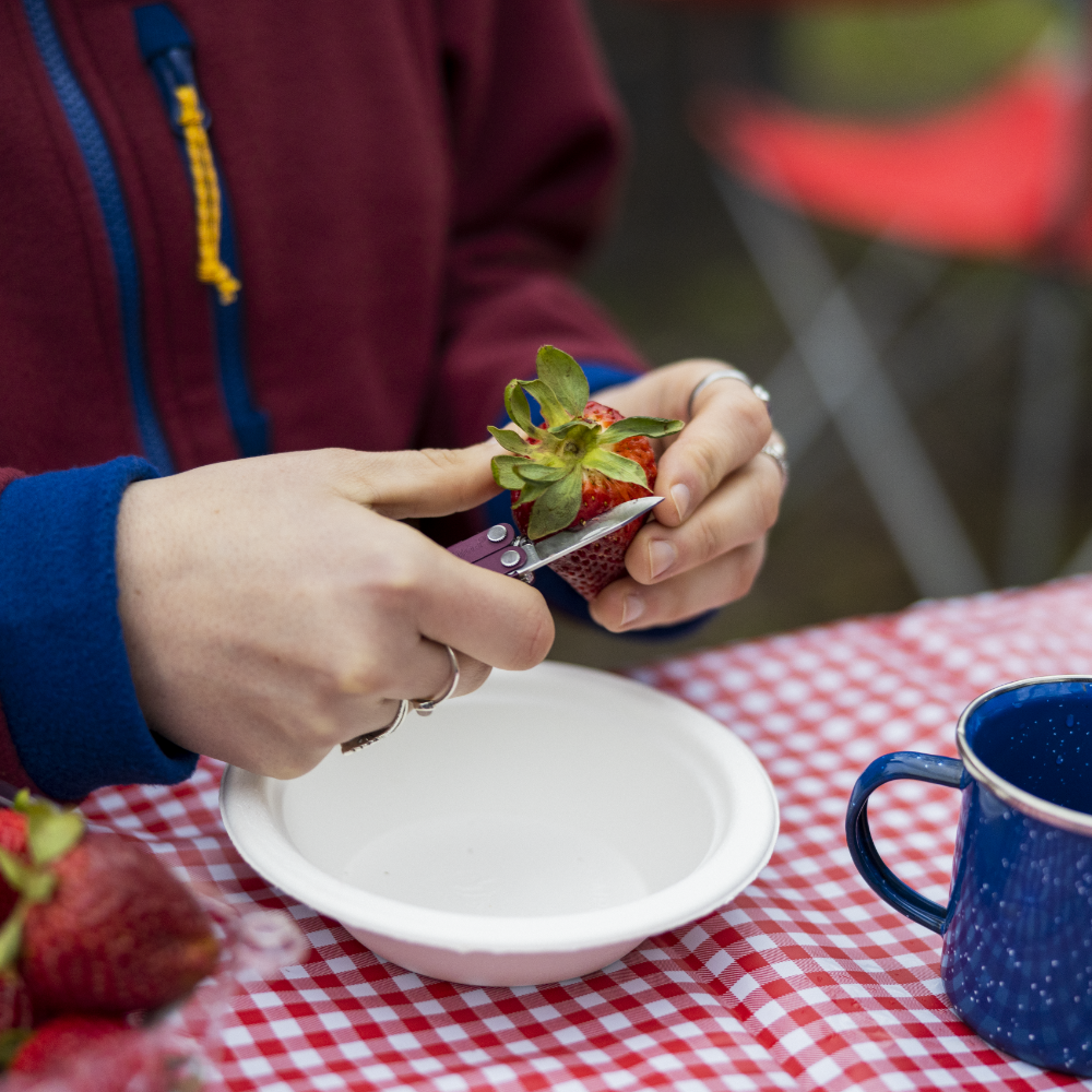 Leatherman Micra Keychain Multi-tool at Swiss Knife Shop